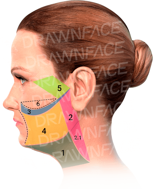 Masterclass Drawn Face 2 – Sandro Valente